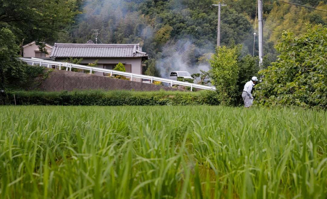 Agriculture in Japan: A Sustainable Approach
